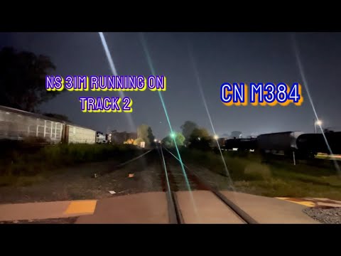CN M384 and NS 31M Meet at Ford Avenue in Wyandotte, MI on 8/28/23 - YouTube