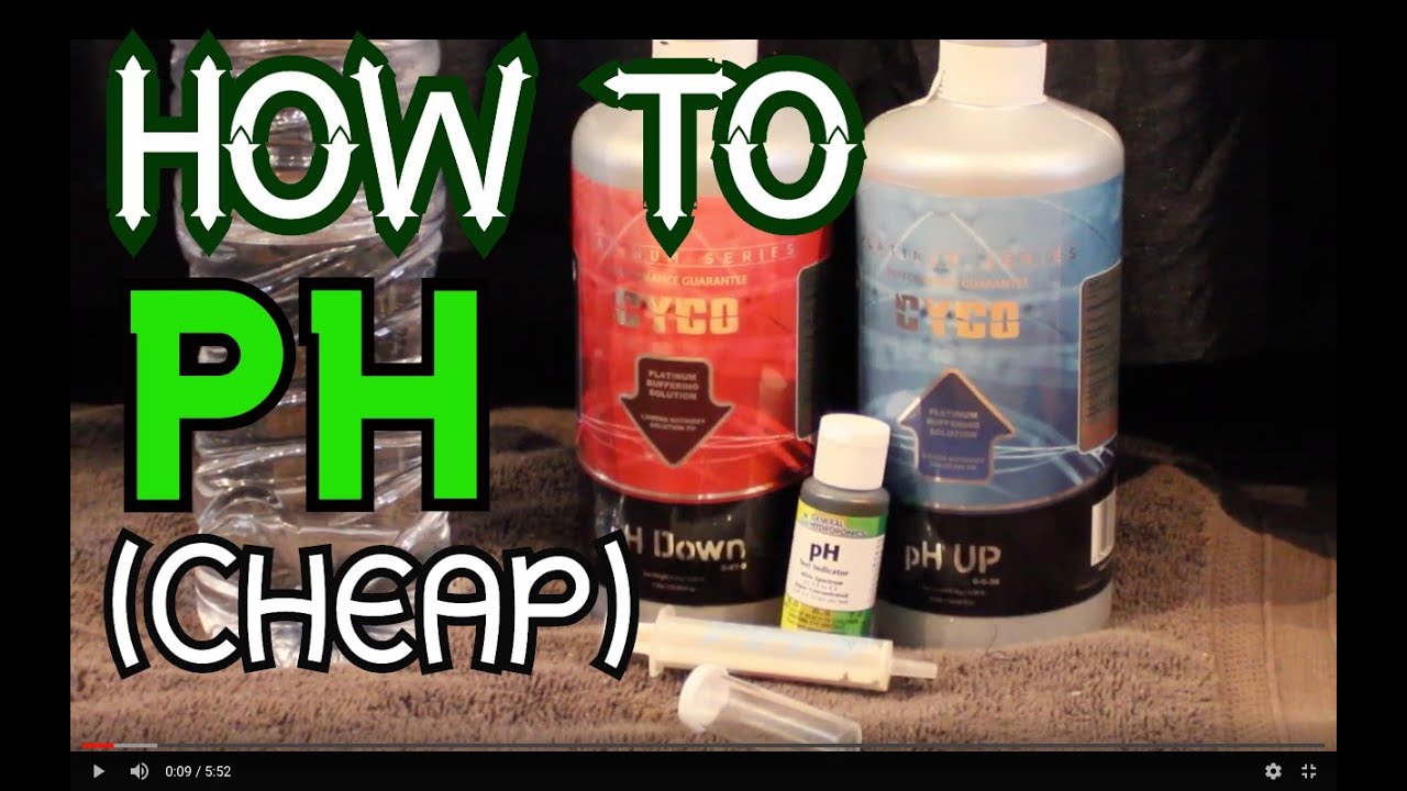 PH your water : Cannabis plants grown in Soil - YouTube