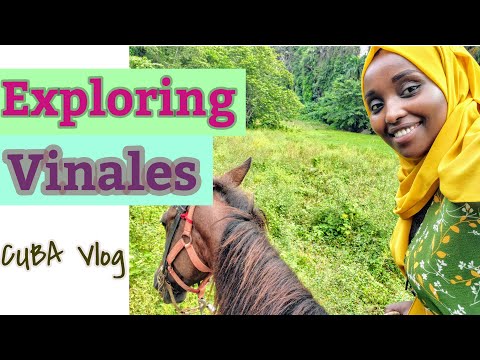 Cuba Travel Guide - Viñales, Tobacco Farms, Horse Riding  2019