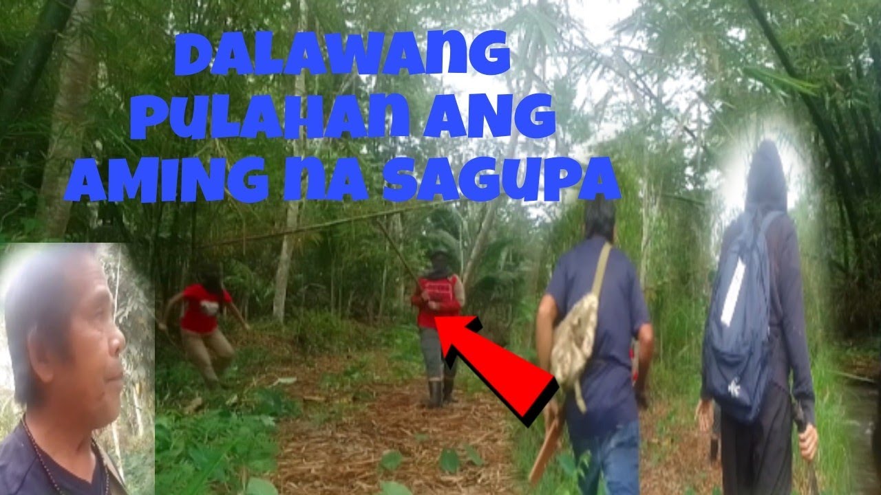 MAY Dalawang pulahan kaming nasagupa!#intense# bihag#pulahan#viral ...