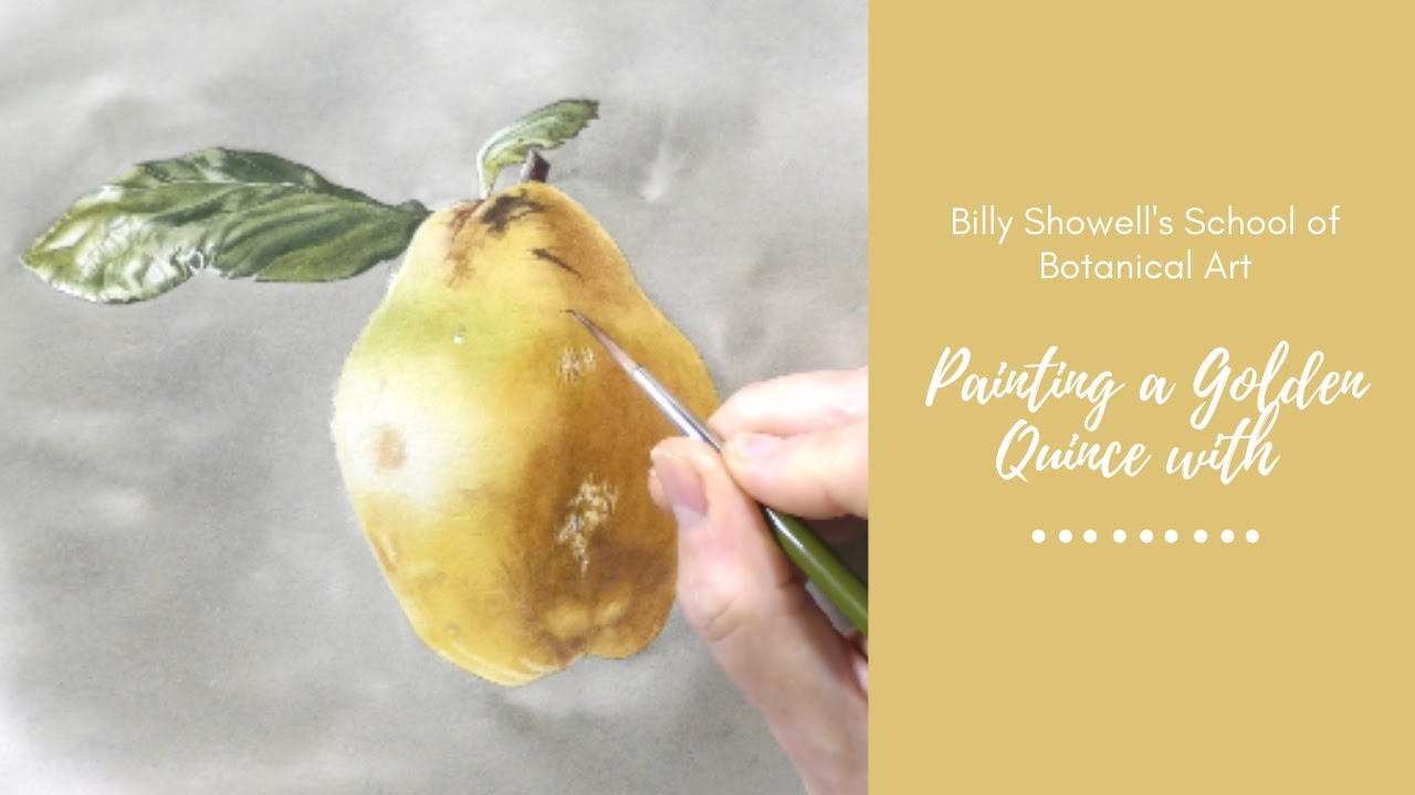 Painting a Golden Quince - Preview ⎮ Billy Showell ⎮Watercolour ...