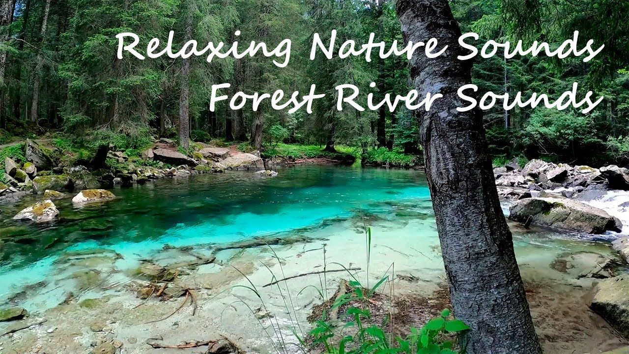 Relaxing Nature Sounds. Forest River Sounds. - YouTube
