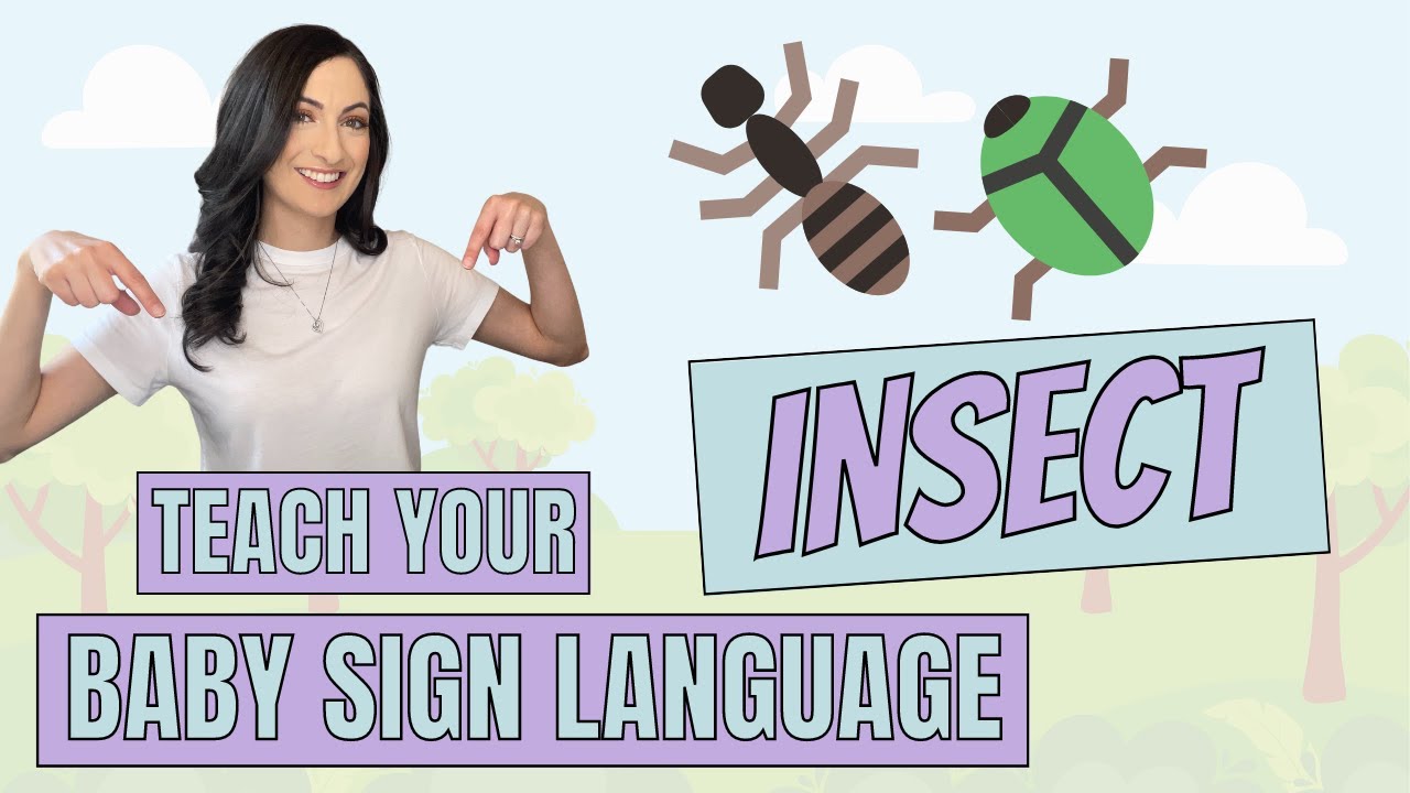 ASL sign for INSECT & BUG - Teach Your Baby Sign Language! - YouTube