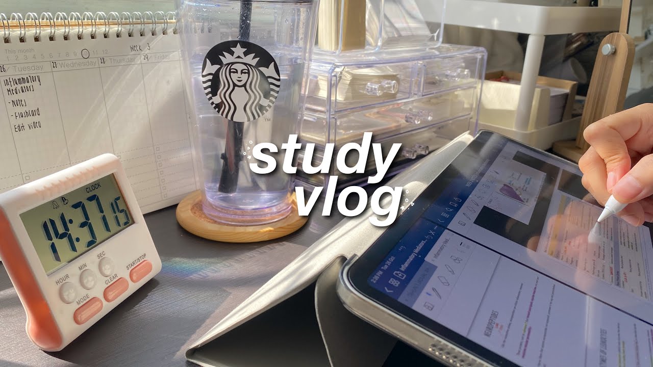 study vlog🌤 : productive days , going out , study time-lapse - YouTube