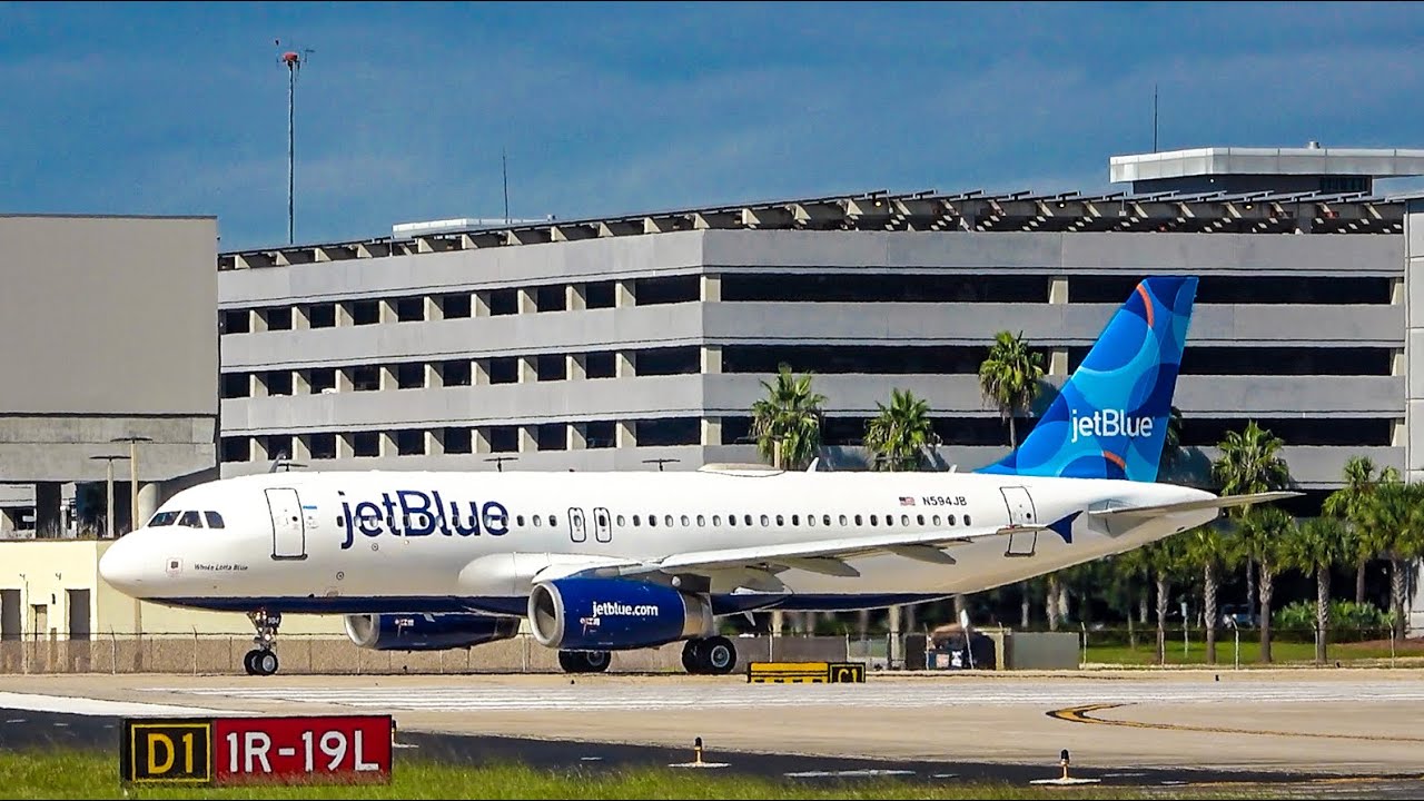 Vultures on Final Beautiful Tampa International Airport Aviation ...
