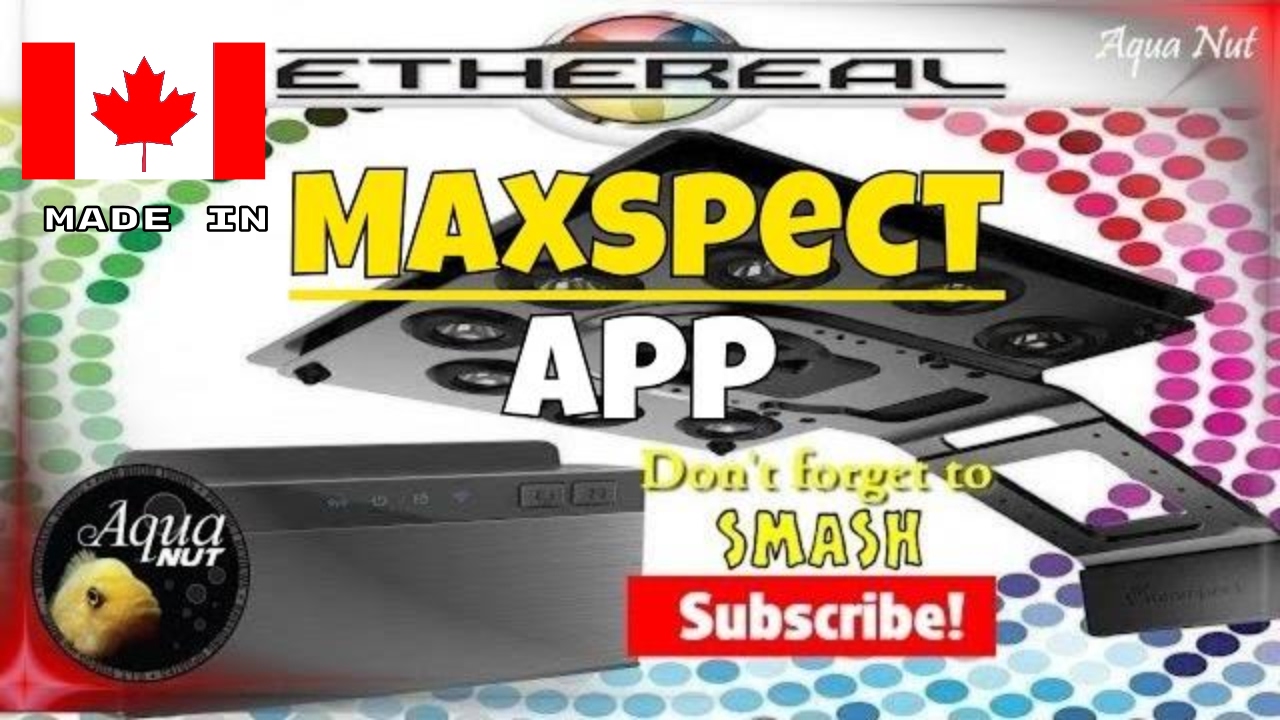 Maxspect App Review | How to Connect Ethereal & ICV6 LED Light - YouTube