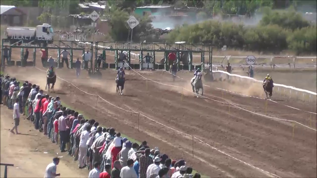 GANADOR HUMILDON CARRERA 12 - YouTube