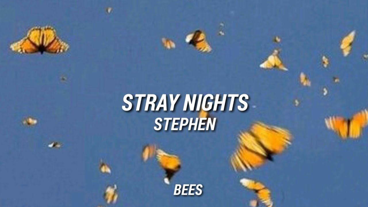 STRAY NIGHTS - STEPHEN [SUB-ESPAÑOL] - YouTube