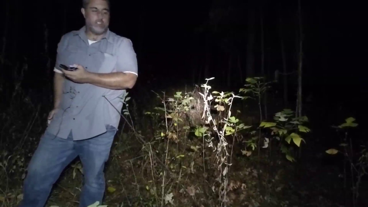 Alabama Bigfoot and a crazy Bigfoot Yell......what a investgation ...
