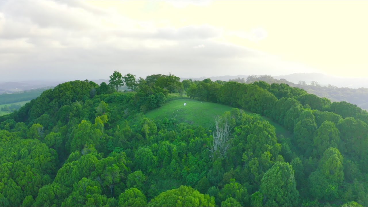 Bell Valley - Animal Feelings - YouTube Music