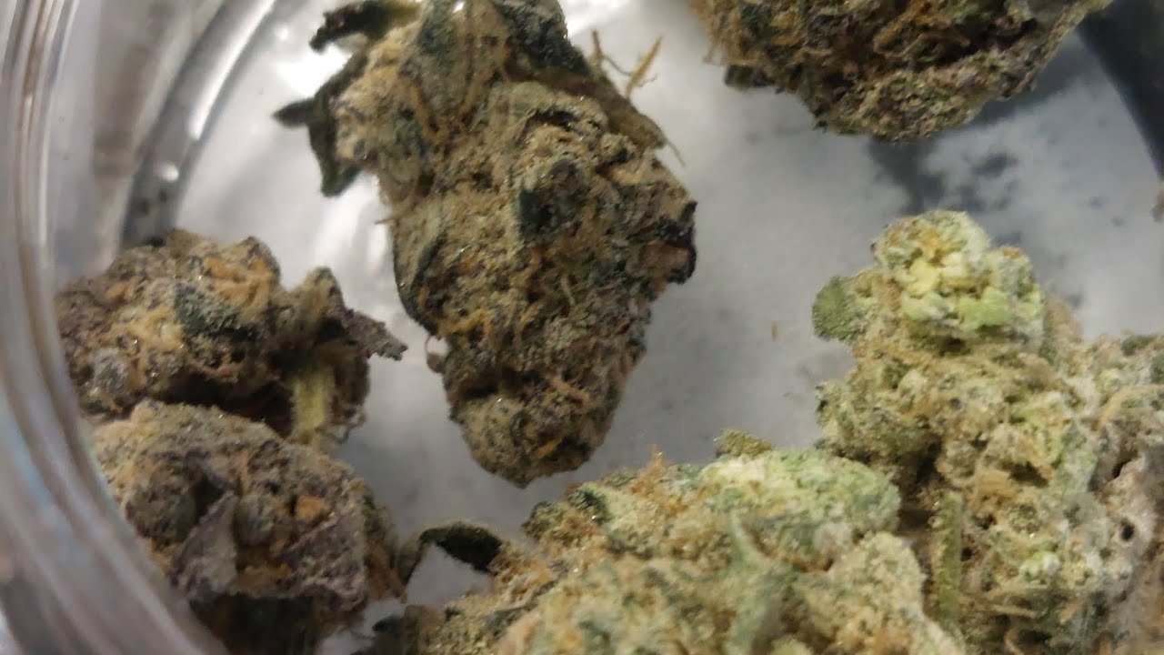 GUSH MINTS BUCKEYE RELIEF - YouTube