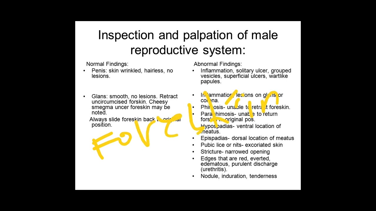 NGS102: Review of System (Assessing Male Reproductive System) - YouTube