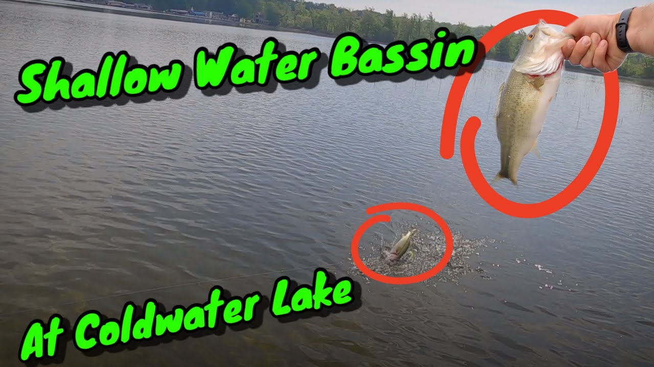Shallow Water Bass Fishing at Coldwater Lake - Spawn Time Bass - YouTube