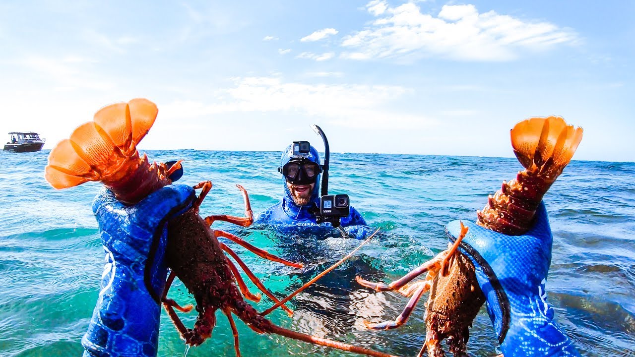 CATCHING TWO CRAYFISH IN ONE DIVE WITH BARE HANDS Australia Is Burning ...