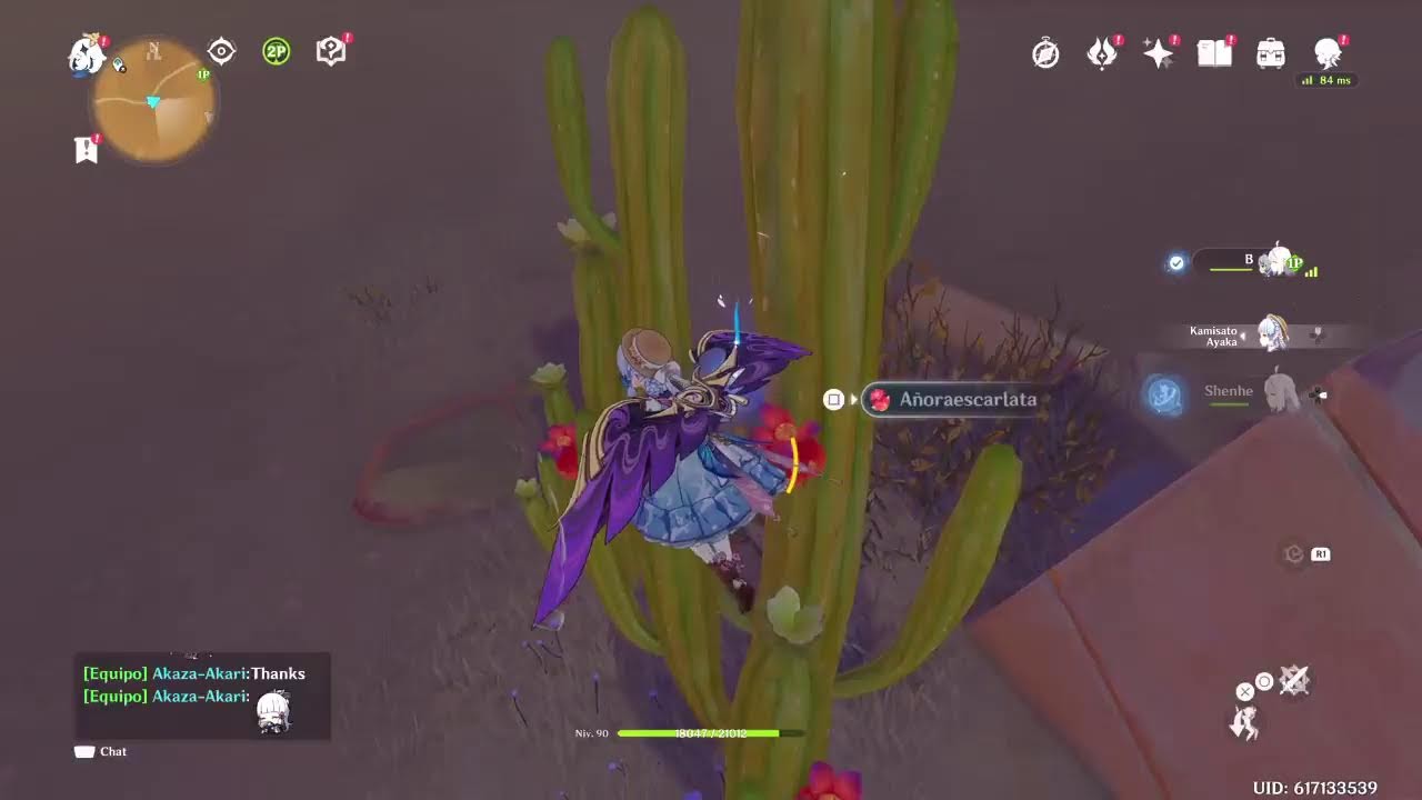 Ayaka C6 and Shenhe C6 Main Genshin Impact Ps5 LiveStream - YouTube