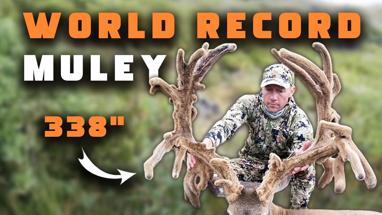 He PASSED the WORLD RECORD Mule Deer?! - YouTube
