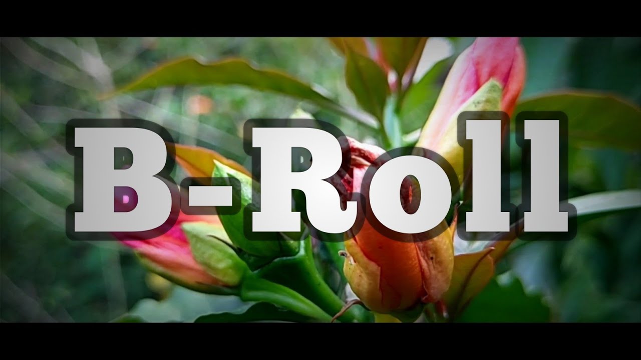 B-Roll | Cinematic B-Roll | Simple beginner video - YouTube