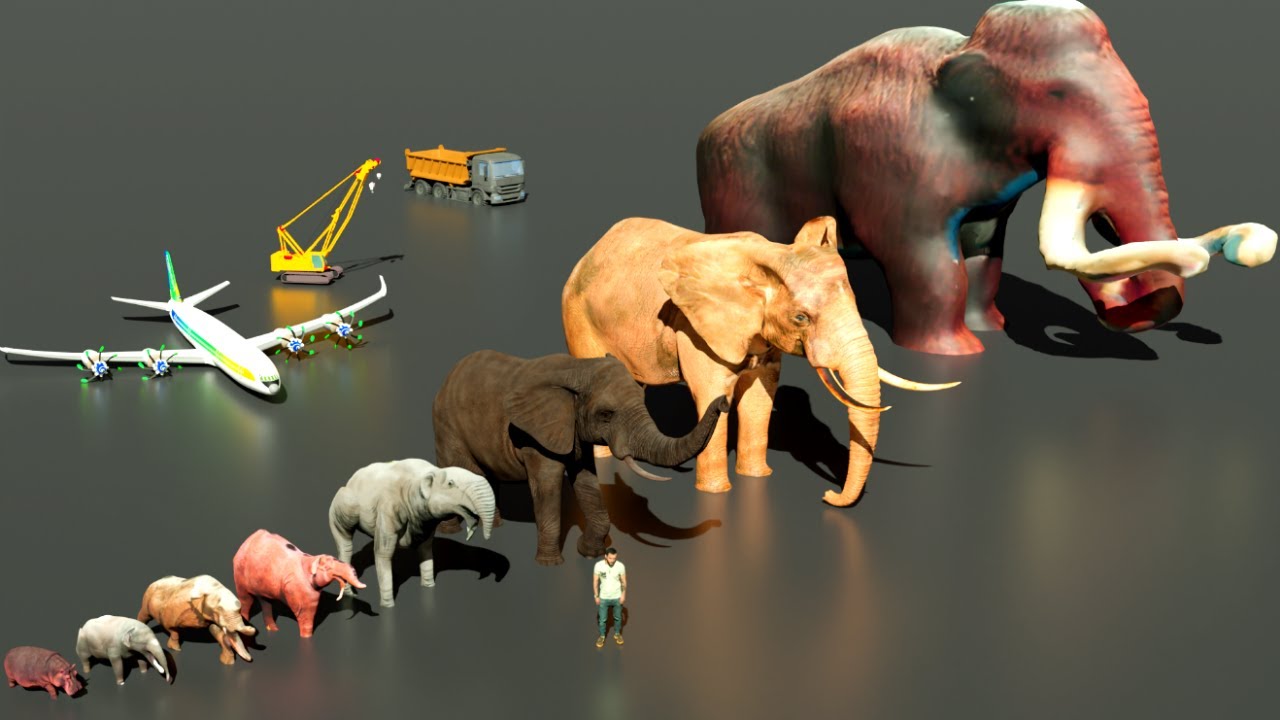 Elephant Size comparison | Mammoth vs Elephant - YouTube
