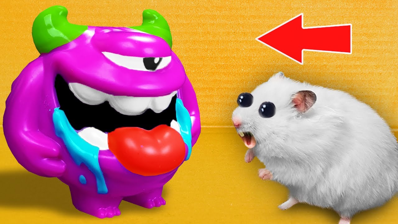 👾 MONSTER - Hamster Maze with Traps ☠️ [OBSTACLE COURSE] - YouTube