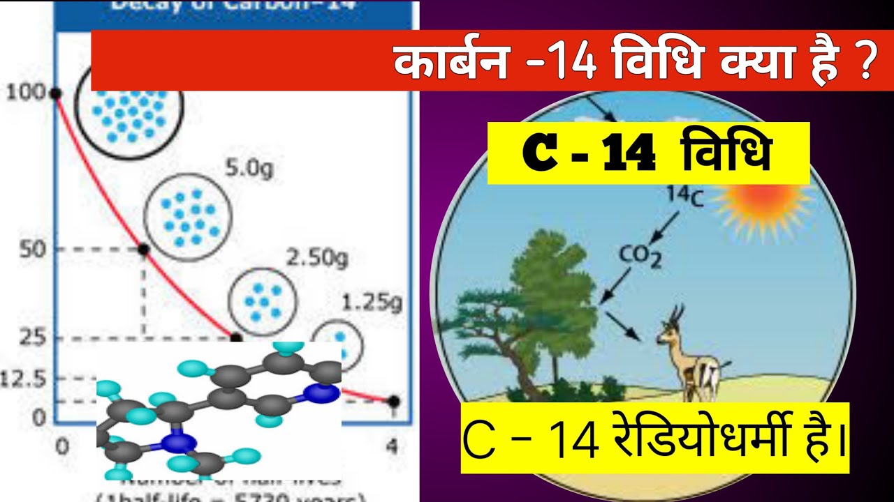 C-14 विधि क्या है ? कार्बन 14 वायुमंडल में कैसे बनते हैं ? - YouTube
