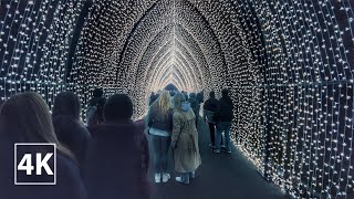 Lightscape at Royal Botanic Gardens Melbourne | Meditation, Calming, Sleep, Stress Relief Music