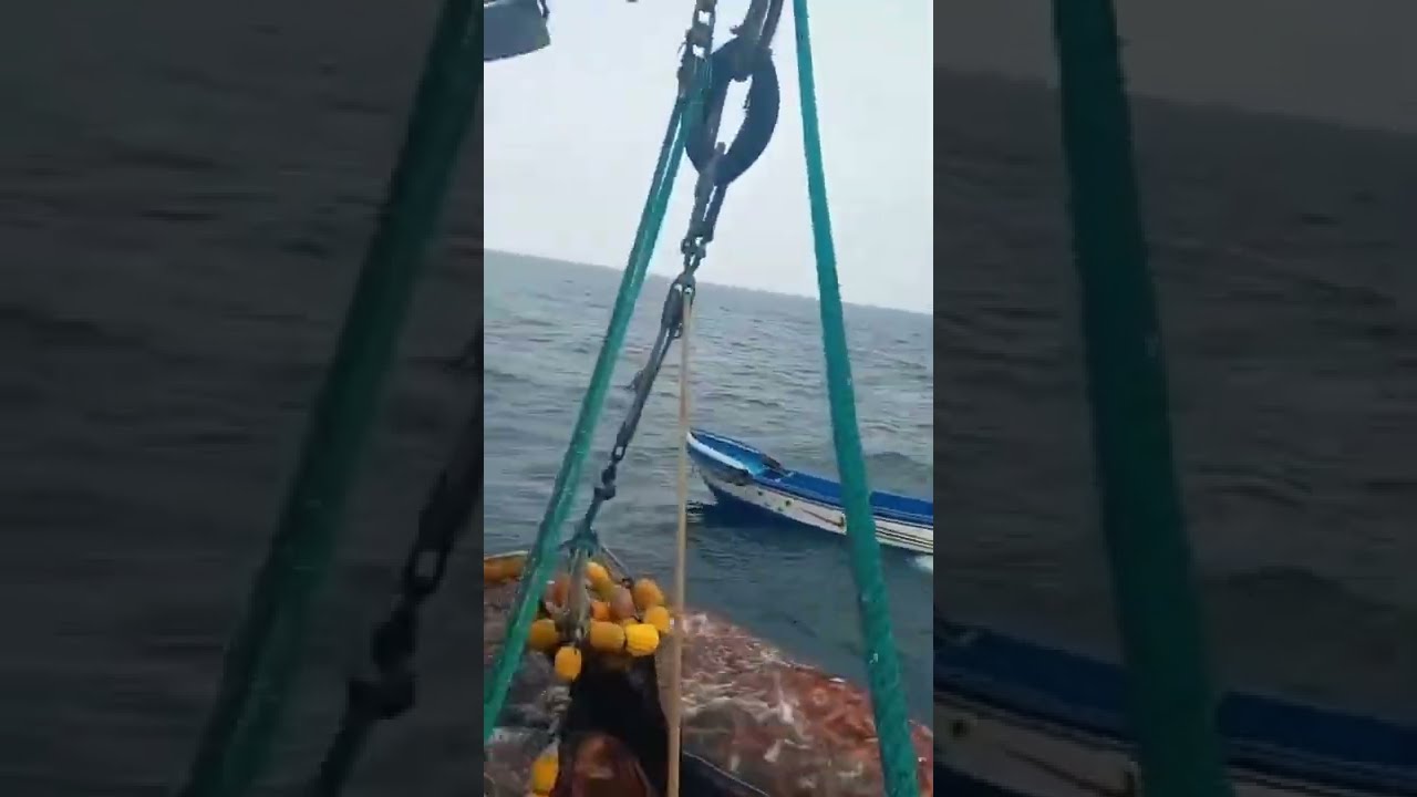 Fishermen purse seine fishing - YouTube