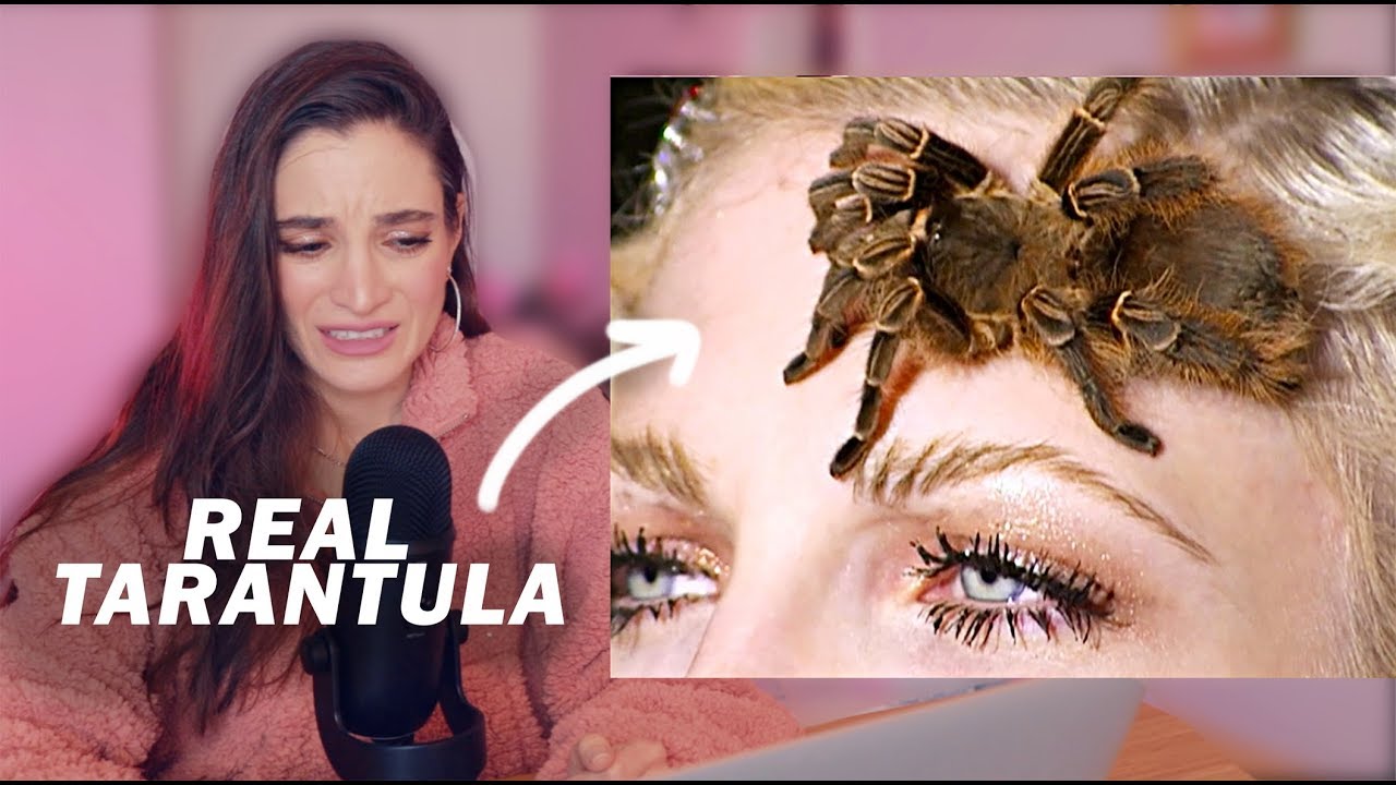 Photographer Reacts To SPIDER Photoshoot in America's Next Top Model ...