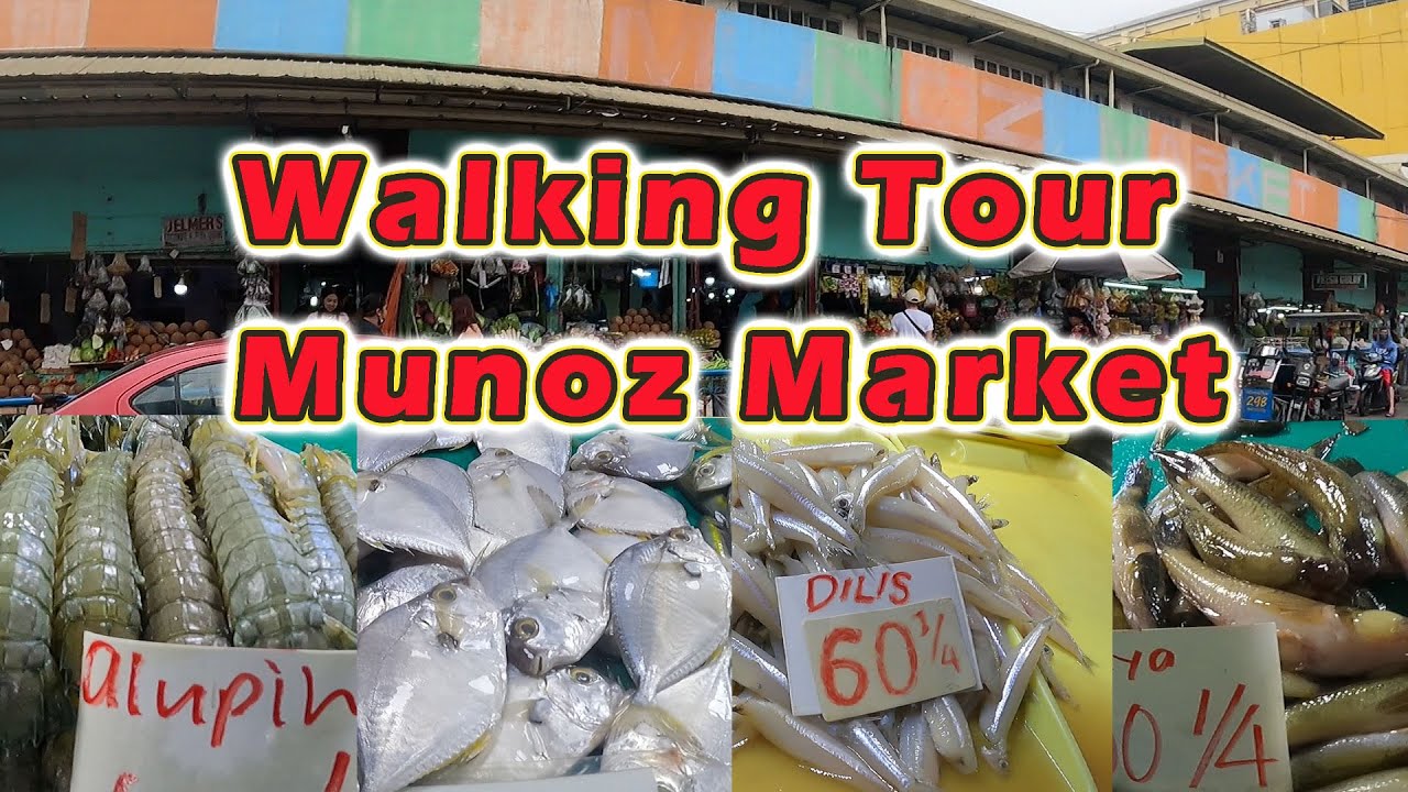 WALKING TOUR MUNOZ MARKET QUEZON CITY - YouTube
