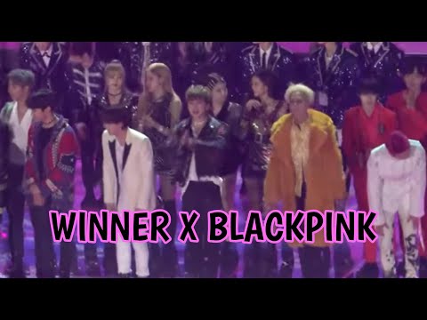 [WINPINK] WINNER and BLACKPINK interactions
