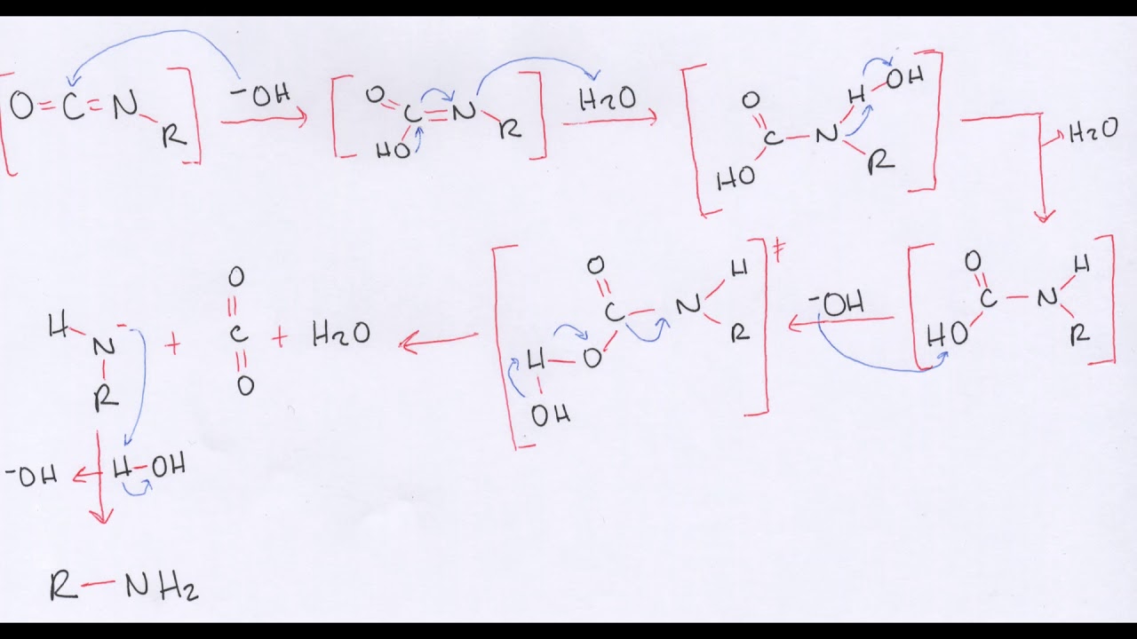 Transposición de Hoffman - YouTube