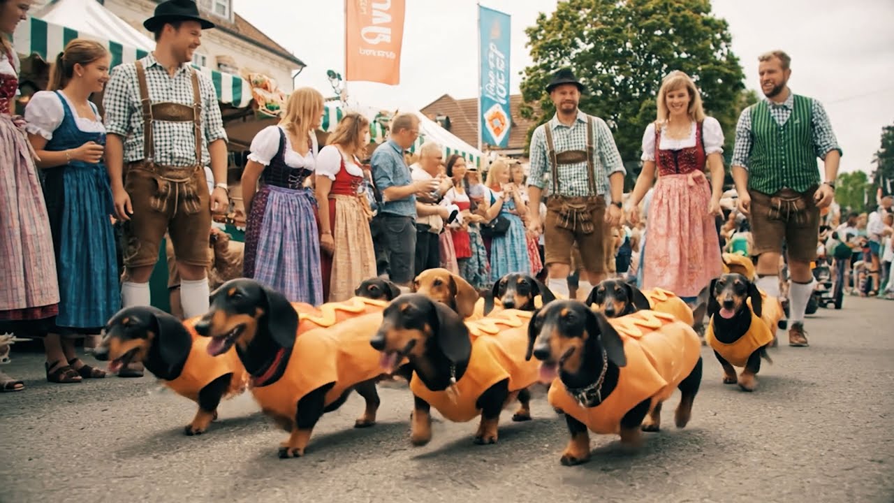 Hot Dog Parade! Dachshunds Take Over German Fest 🐶🌭 - YouTube
