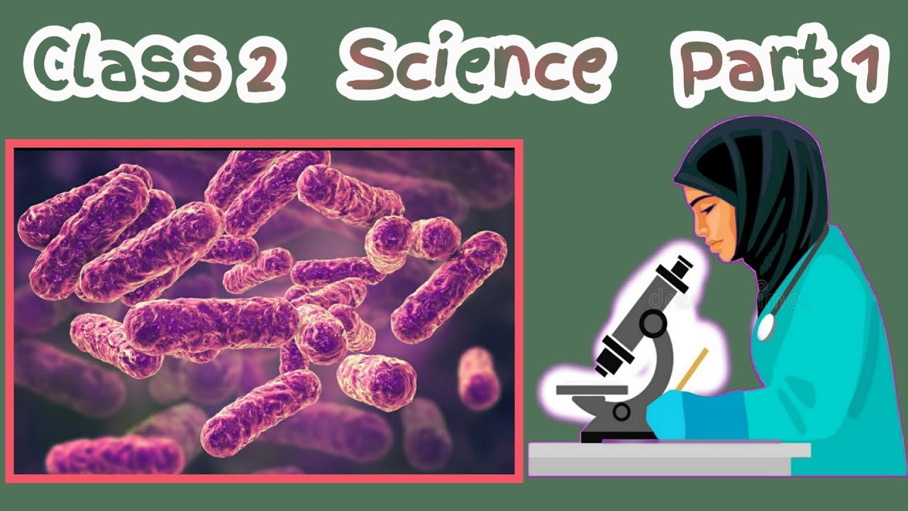 Class 2 Guide Science Part 1 - YouTube