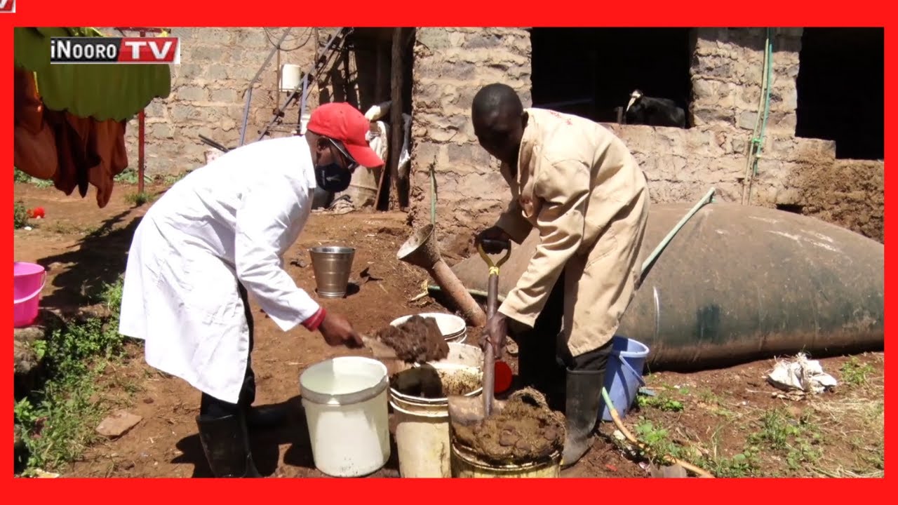 Lewis Maina(mĩaka 35) atũire ahũthĩrĩte thitima ya gĩcoro kĩa mahiũ ...