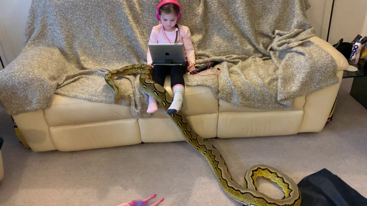 Python Networking Youtube 3645