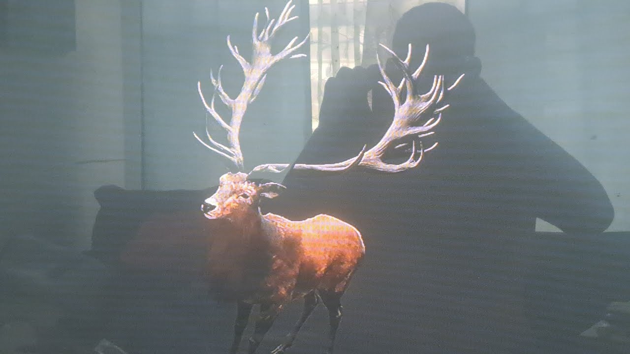 7mm Bolt action Smoken some massive RED DEER - YouTube