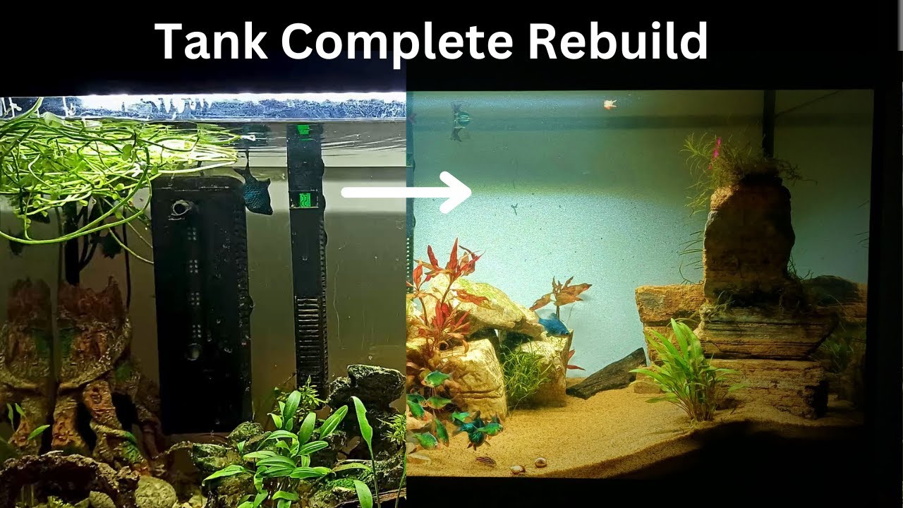 Transforming an Old Tank Into a Desert Scape - Here's How! - YouTube