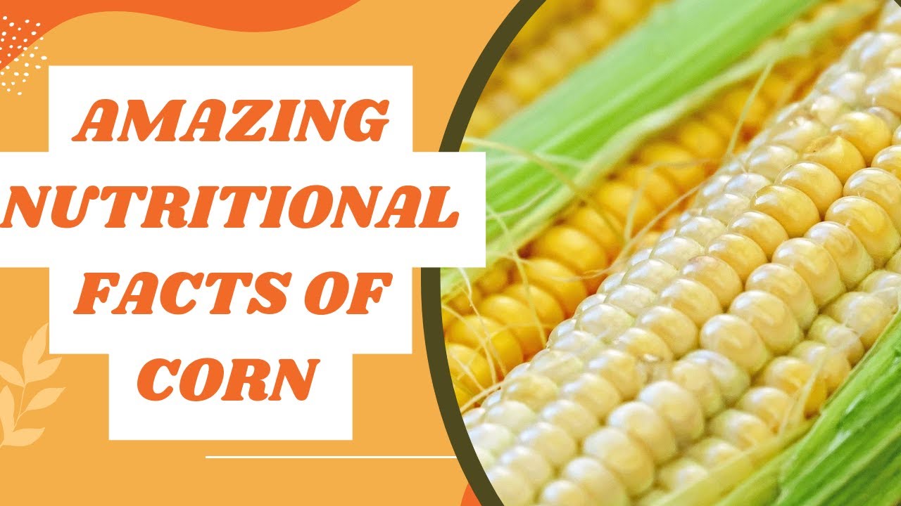 Amazing Nutritional Facts of Corn - YouTube