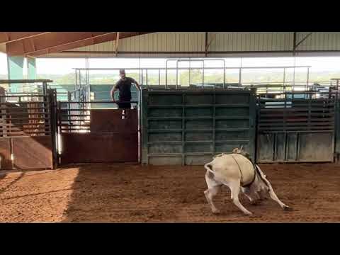 Ace 35L - Trip 1 - YouTube