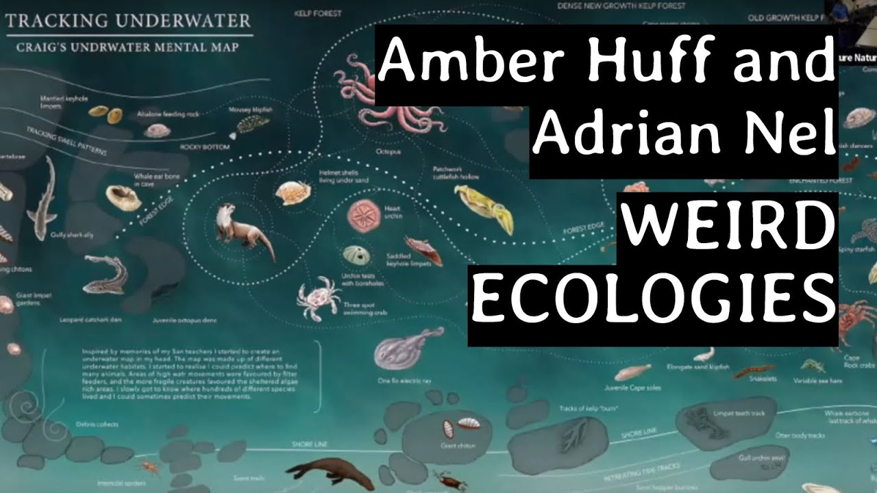 Weird Ecologies - Amber Huff and Adrian Nel - YouTube
