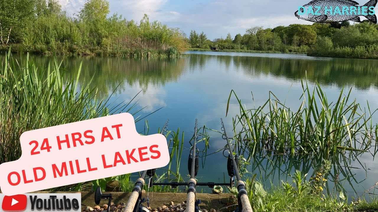 24 hrs fishing at old mill lakes mid may 2023 #carpfishing # ...