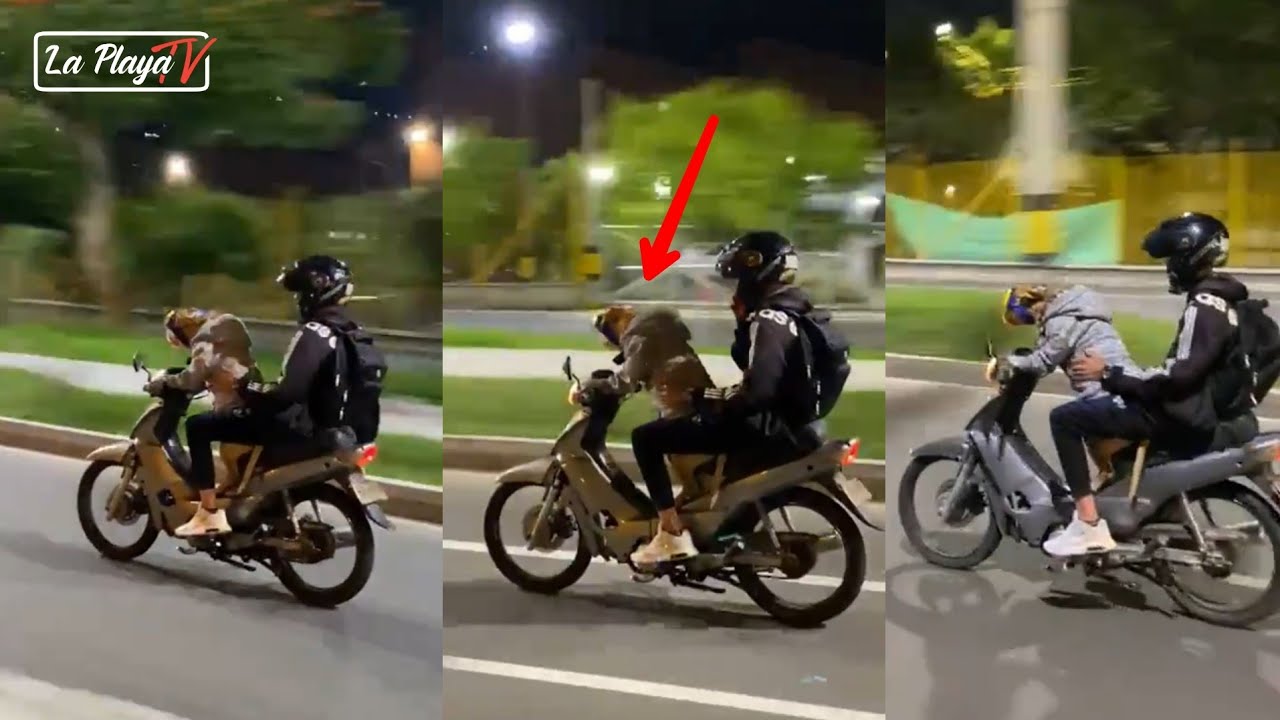 Vídeo del perro manejando moto en Medellín, se vuelve viral - YouTube
