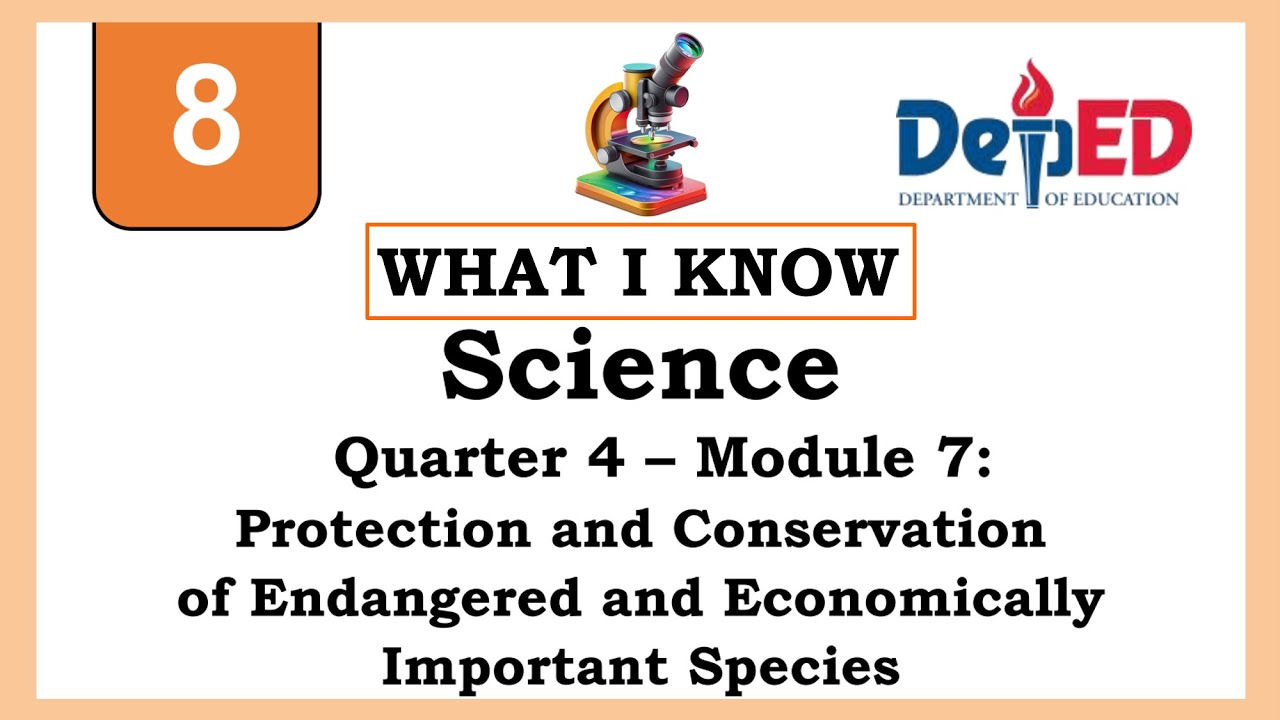 SCIENCE 8 Quarter 4 Module 7 (What I Know) - 15 items l TOPnotchers ...