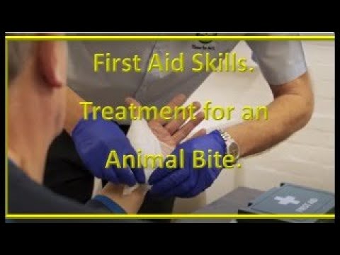 First Aid treatment for animal bites. - YouTube
