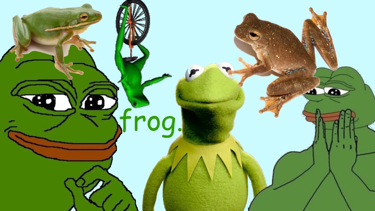 frog. (VRChat) - YouTube