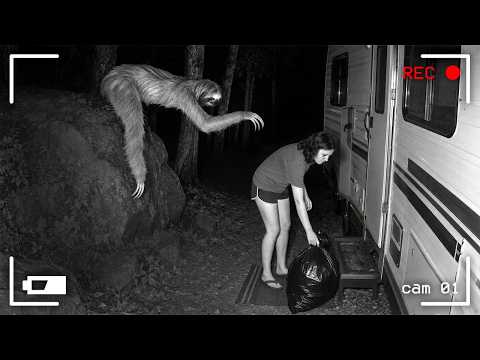 Reasons to Never Go Camping! 😅 Best Funny Camping Fails