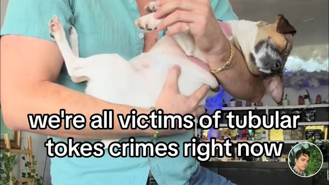 Tubular Tokes St Petersburg Florida Assault Update #stpete # ...