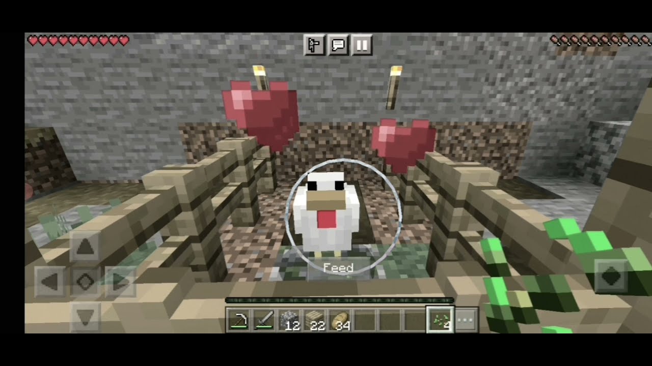 My Minecraft Pet Chicken Dies! :( - YouTube
