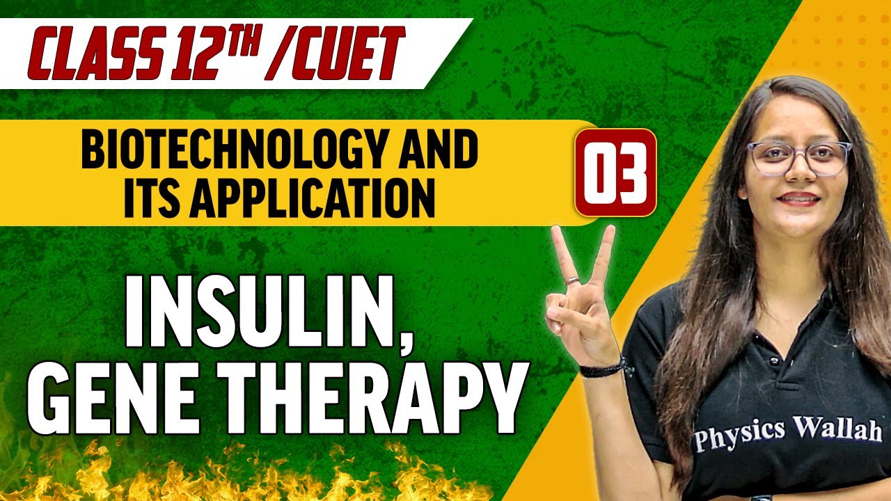 Biotechnology and its Application 03 | Insulin | Gene Therapy | Class ...