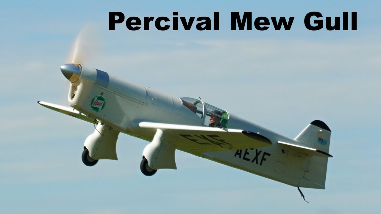 Percival Mew Gull | giant scale RC airplane | 4K | Holesov 2021 - YouTube