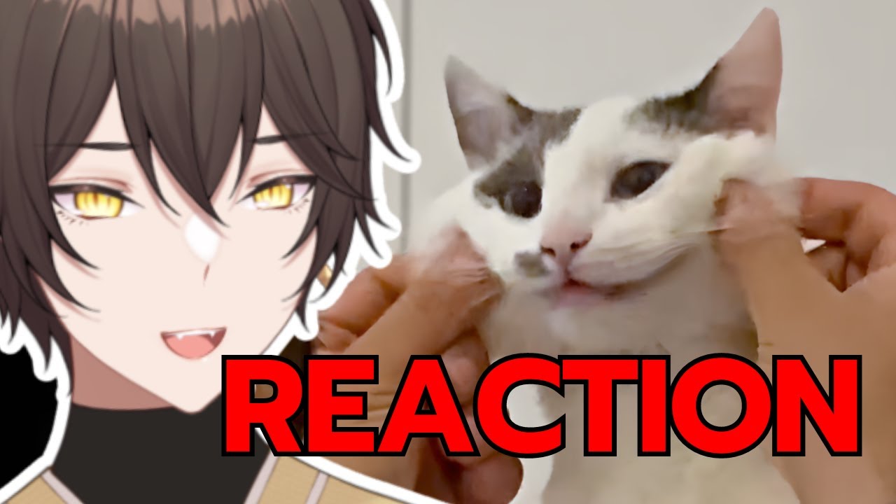 Sen นั่งดู UNUSUAL MEMES【VTuber】....again - YouTube